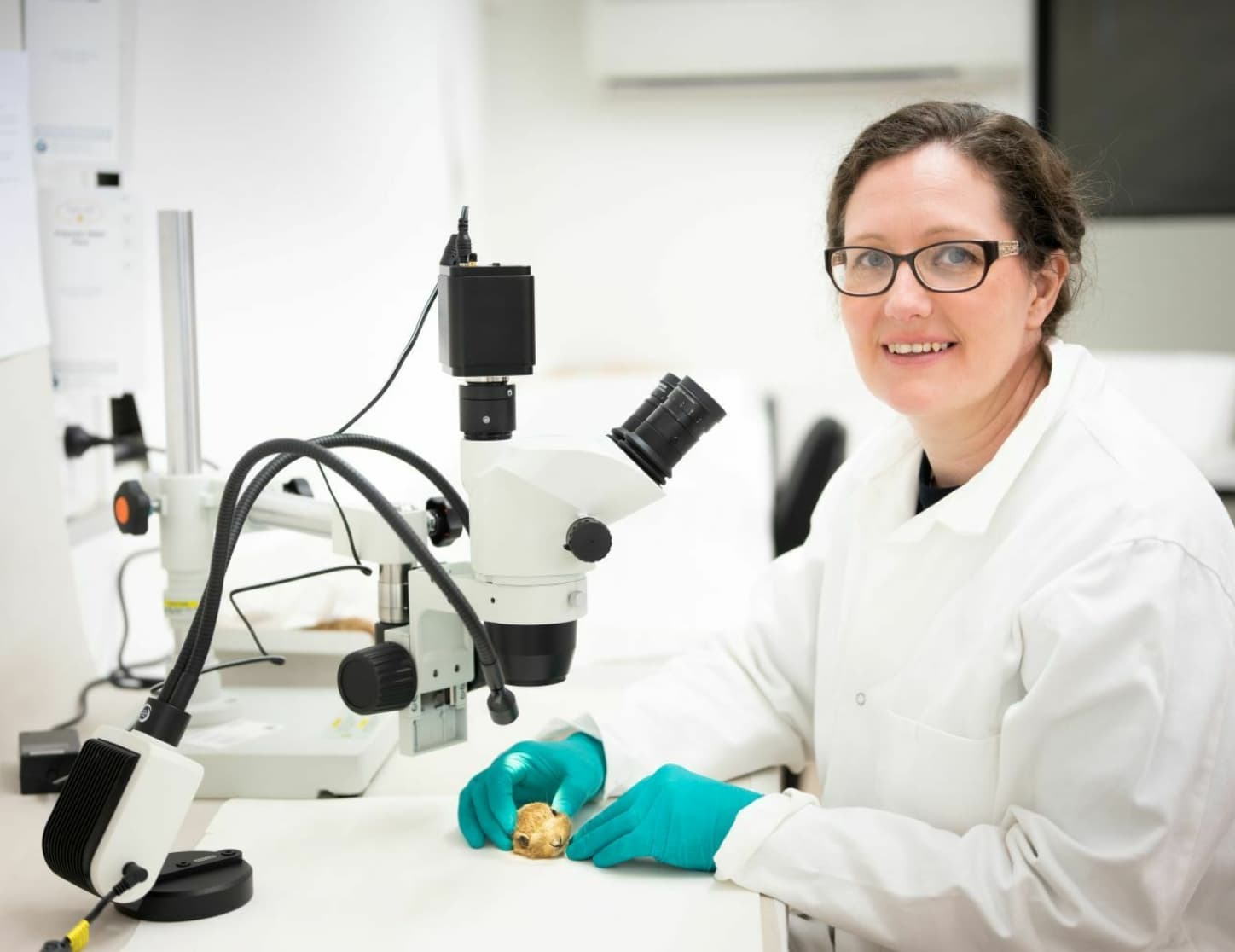 Emily Fryer Conservator | Canterbury Museum
